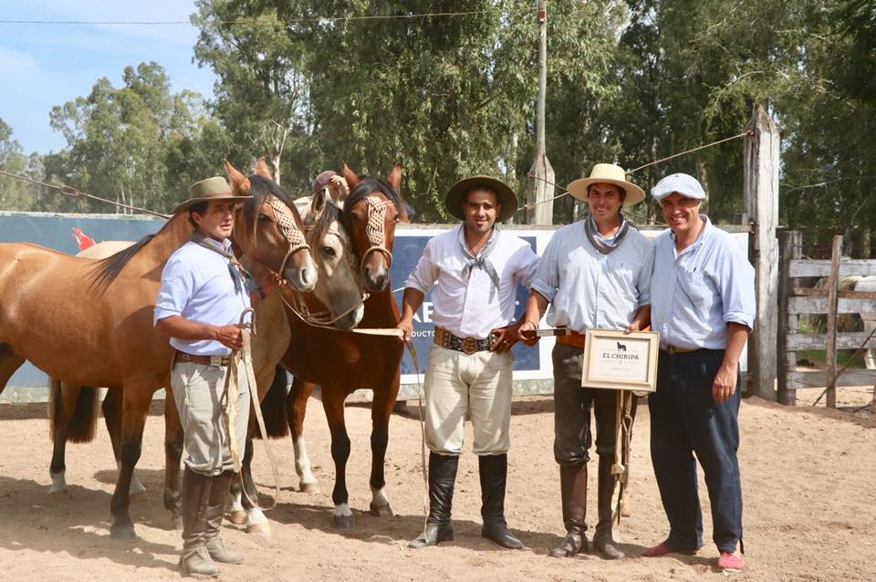 Mejor Trio de la Exposición Lyrinel S.A. | Sociedad de Criadores de ...