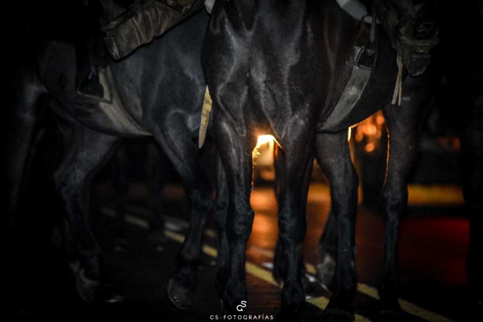 Sociedad de Criadores de Caballos Criollos en Uruguay | Sociedad de Criadores de Caballos ...