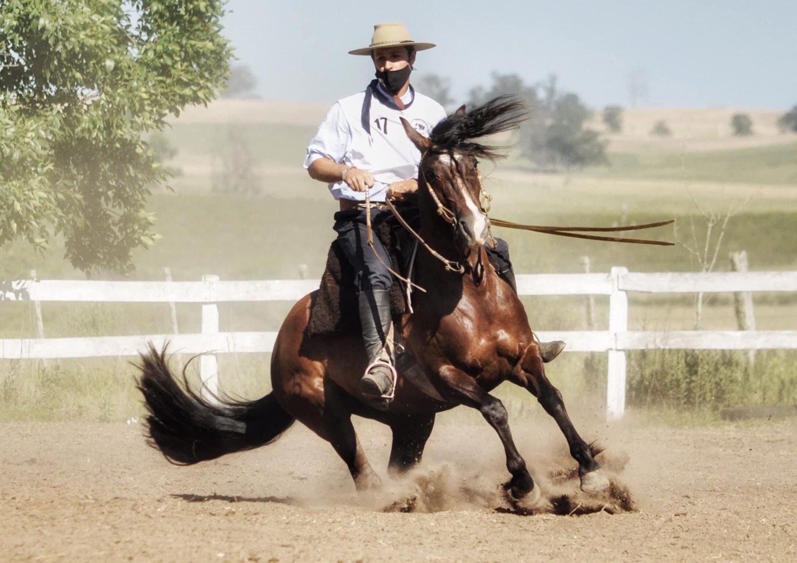 Sociedad de Criadores de Caballos Criollos en Uruguay | Sociedad de Criadores de Caballos ...